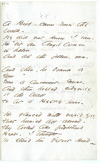 A Bird, came down the Walk – - Dickinson's Birds